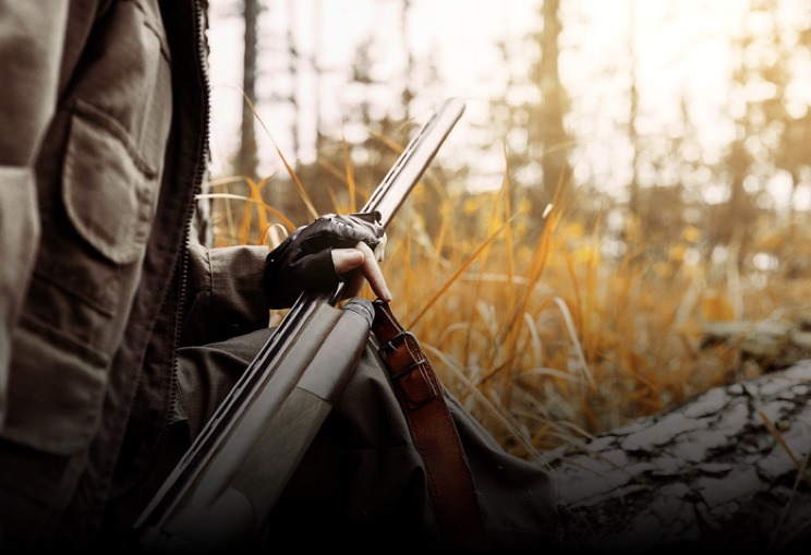 All About Hunting - A Deep Dive Into the Natural