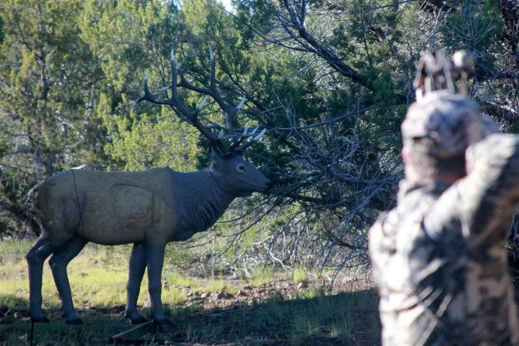 Western Big-Game Tag Draws: Separating Facts From Fiction - NSSF Let's ...