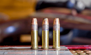 The .22 Long Rifle — 100-Plus Years and Still Going Strong