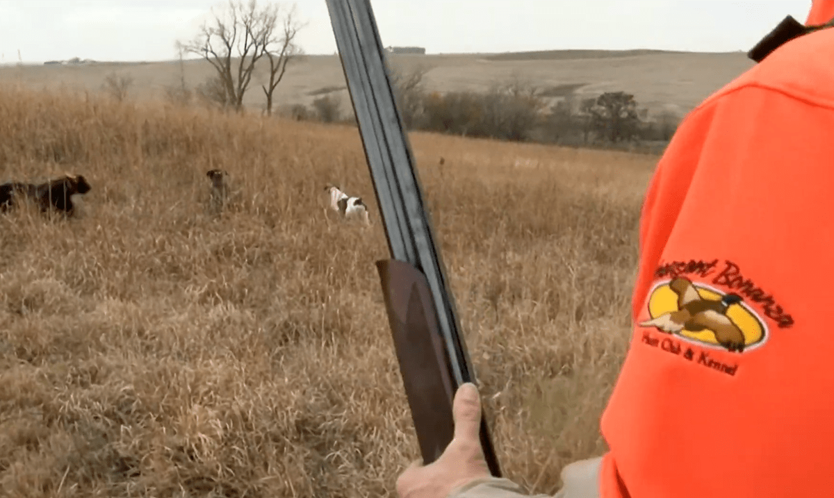 Dogs Provide the Ultimate Intro to Hunting for New Hunters - NSSF Let's Go Hunting