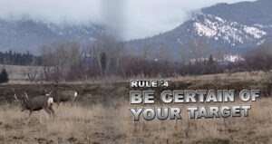 Ensuring a Safe Hunt: Julie McQueen's 7 Essential Hunting Safety Rules - NSSF Let's Go Hunting