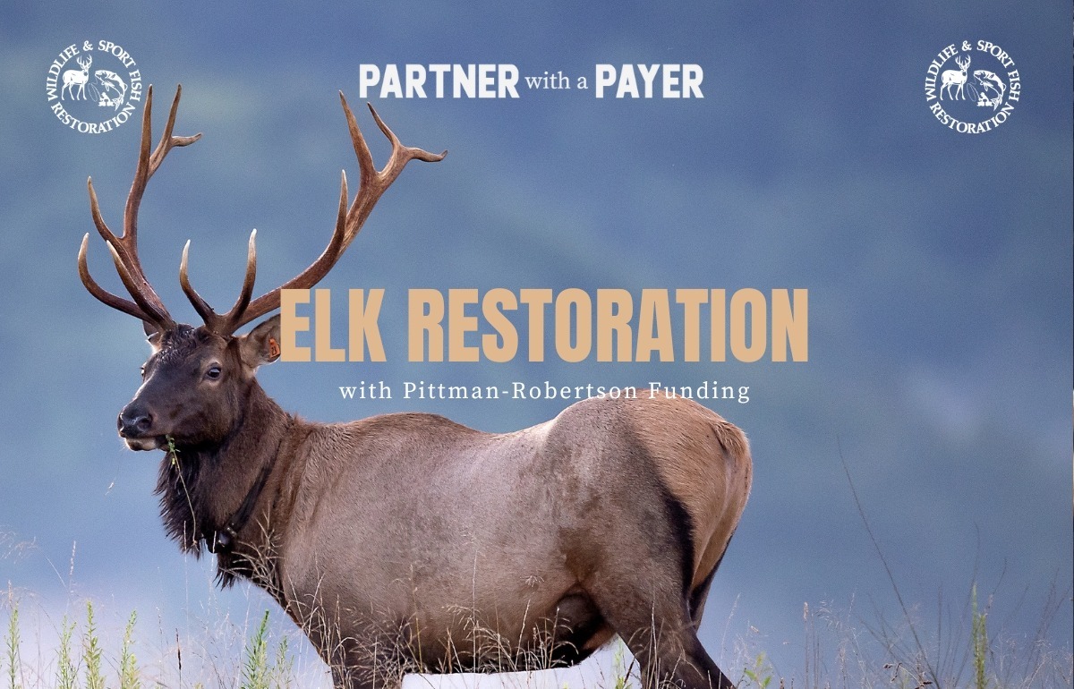 How Pittman-Robertson Funding Helps Keep America’s Elk Herds Thriving - NSSF Let's Go Hunting