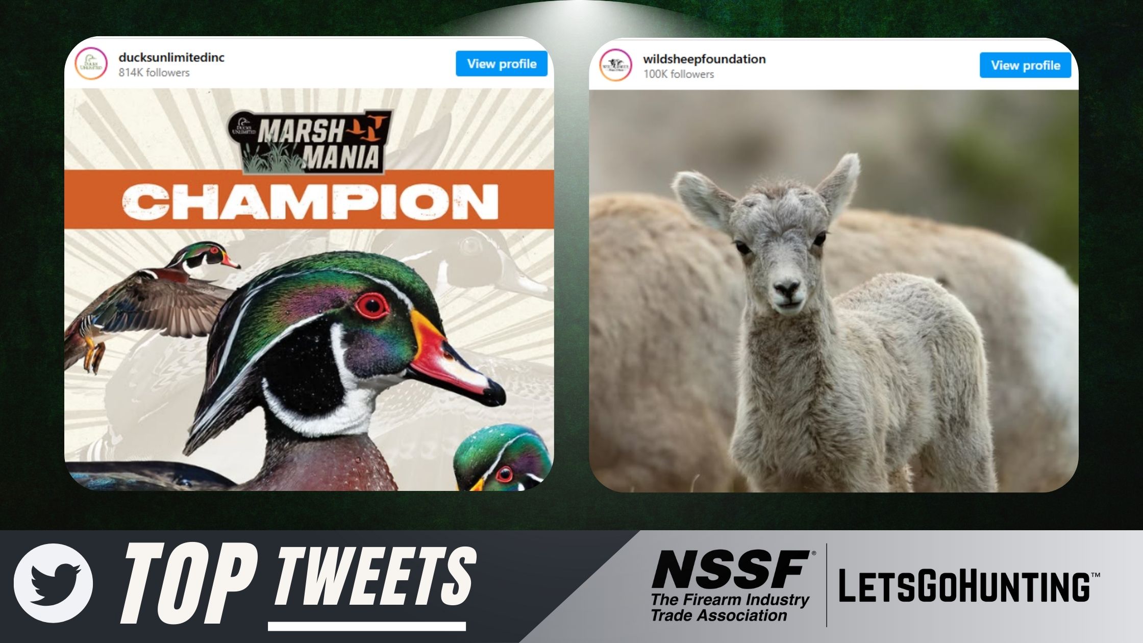 10 Trending Hunting Social Media Posts - NSSF Let's Go Hunting